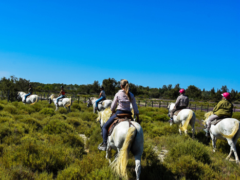 Promenade à cheval - Les Marais du Vigueirat - Camargue